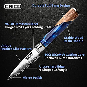 CRICO Paring Knife 3.5 inch Fruit Knife, Small Kitchen Knives, VG10 Damascus Super Steel 67-Layers, Full Tang Wood&Resin Handle, Gift Box - Flow Series