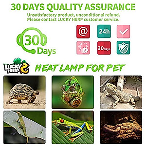 LUCKY HERP Reptile Heat Lamp - 100W (2nd Gen) Heat Lamp Bulbs for Reptiles 2 Pack, Amphibians Basking Heat Lamp Bulbs, UVA Daylight Basking Light for Reptiles, Bearded Dragon, Lizard, Turtle, Chicken