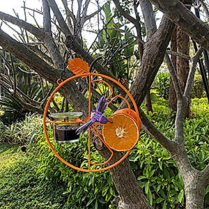 ALLADINBOX Oriole Bird Feeder, 17 inch Hanging Metal Bird Feeder,Detached Bowl Design,Orange Fruit Feeder,Great for Garden,Outdoor,Gift