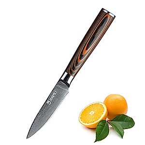 JOURMET 3-1/2" Damascus Paring Knife with Japanese VG10 Super Steel Core, Professional 67-layer Handmade PAKKA Wood Handle with S/S 430 Bolster