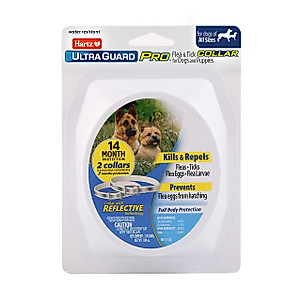 Hartz UltraGuard Pro Reflective Flea & Tick Collar for Dogs and Puppies, 7 Month Flea and Tick Prevention Per Collar, 2 Count