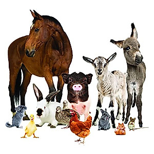 24 L Rowdy Rooster Hemp Animal Bedding