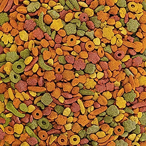 Kaytee Exact Rainbow with Natural Colors Large Parrot