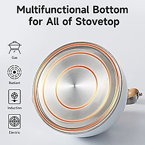 ROCKURWOK Whistling Tea Kettle, 1.6 QT / 50 OZ, White Teapot, Universal Base for Induction | Gas | Electric | Halogen | Radiant, Wooden Handle, Vintage