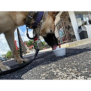 MOZETO Dog Collar Safety Clips for Prong Collar Backup, 3pcs 550lbs Heavy Duty 15/18/21cm Dog Harness Collar Leash Connector