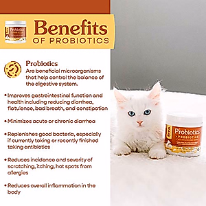 FERA Probiotics for Dogs and Cats - USDA Organic Certified - Advanced Max-Strength Vet Formulated - All Natural Probiotics Powder - Made in The USA - 5 Billion CFUs Per Scoop (Packaging May Vary)