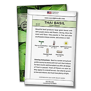 Sow Right Seeds - Basil Seed Collection to Plant - Genovese Sweet Basil, Thai Basil, Opal Basil, Non-GMO Heirloom Seeds - Instructions for Planting Indoors or Outdoor; Great Gardening Gift