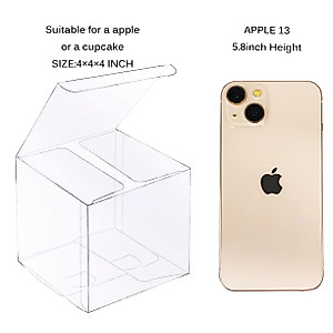 XP-ART 30 PCS Clear Favor Boxes,4 x 4 x 4 inch Plastic Clear Gift Boxes for Wedding,Birthday,Easter Mother's Father's Day Party