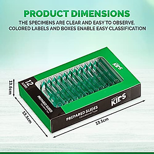 AMSCOPE-Kids 48pcs Kids Plastic Prepared Microscope Slides of Animals Insects Plants Flowers Sample Specimens for Stereo Microscopes