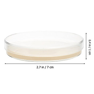 ULTECHNOVO 10 pcs Nutrient agar Plate agar Petri Dishes Petri Dishes with lids pre Poured agar Plates Laboratory Accessory prepoured Petri Dish Mushroom agar Plates Child Stripe Specimen