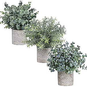 Winlyn Set of 3 Mini Potted Artificial Eucalyptus Plants Plastic Fake Green Rosemary Plant for Home Decor Office Desk Shower Room Decoration