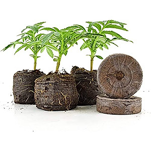 100 Count- Jiffy 30 MM Peat Soil Pellets Seeds Starting Plugs: Indoor Seed Starter- Start Planting Indoors for Transplanting to Garden or Planter Pot