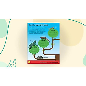 Everything You Need to Know About Snakes