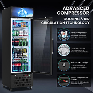 Mojgar 14.8 Cu Ft Commercial Merchandiser Refrigerator for Beverage,Glass Door Upright Display Fridge with Front LED Light,Large Freestanding Business Cooler for Shop,Restaurant,Apartment,etc