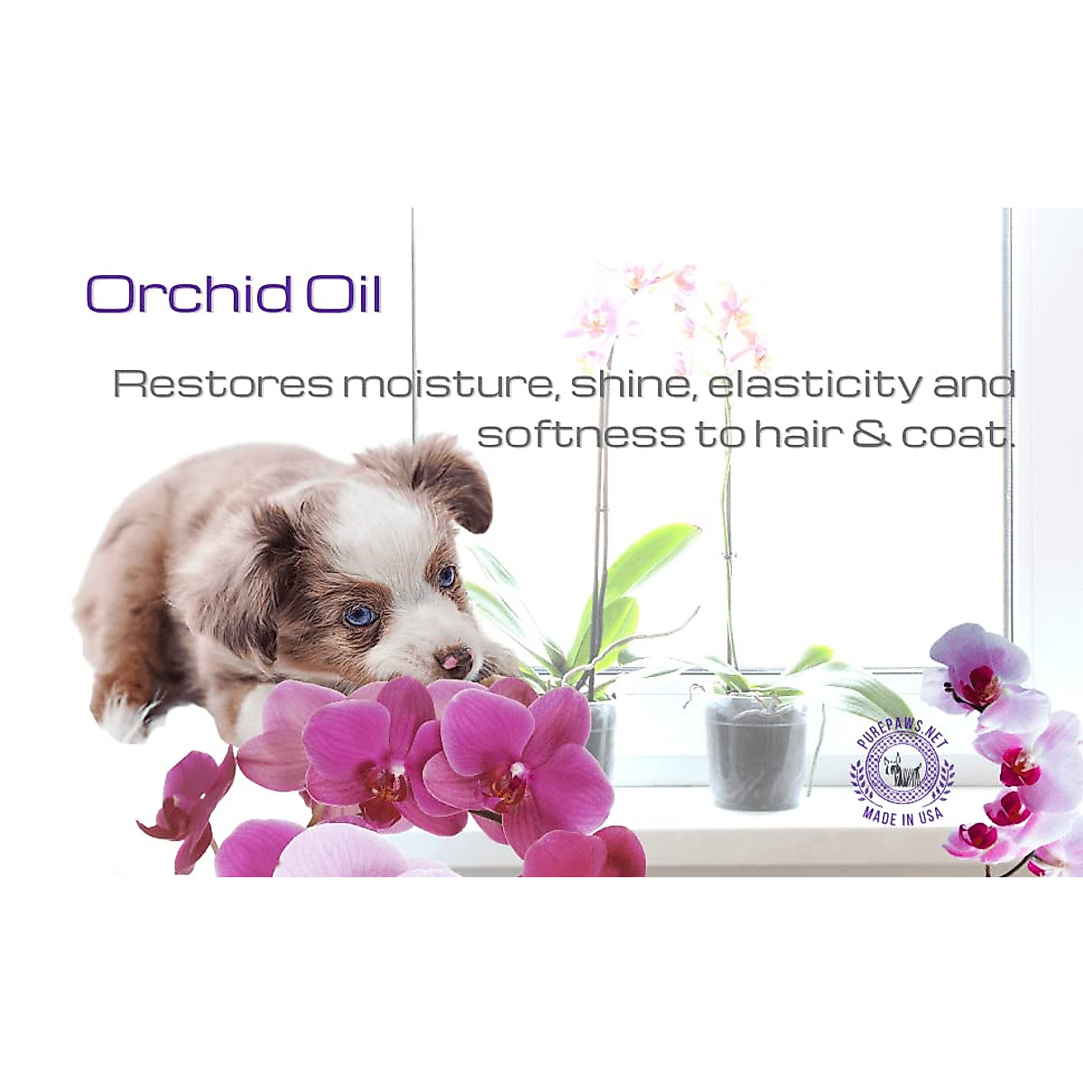 Pure Paws Reconstructing Essentials Shine Spray - 8oz