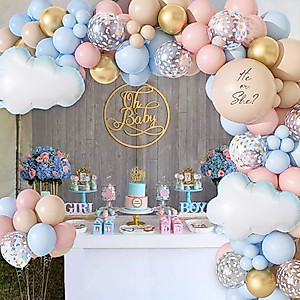 Amandir 185Pcs Gender Reveal Decorations, Double-Stuffed Pastel Pink and Blue Brown Nude Balloon Arch Kit White Cloud Hanging Moon&Star Garland Boho Neutral Boy or Girl Bear Baby Shower Party Supplies