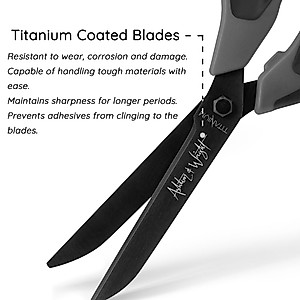 Ashton and Wright - Titanium HD - Heavy Duty Scissors for Office, Home, Kitchen and Craft - 210mm / 8” - Titanium Coated Blades (Gray, Right Handed)