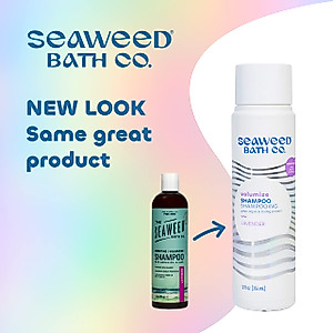 Seaweed Bath Co. Volumize Shampoo, Lavender Scent, 12 Ounce, Sustainably Harvested Seaweed, Green Algae, Barley Protein, For Normal to Fine Hair