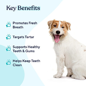 Pawfy Dog Breath Freshener with Advanced Dental Care Formula | Dog Teeth Cleaning & Mouthwash | Fix Stinky Dog Breath with Dog Water Additive | Canine Plaque and Tartar Remover for Dogs.