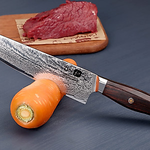 Dnifo Japanese Chef Knife 8-inch AUS-10 73-layer Damascus Stainless Steel Full Tang Non-stick Blade Kitchen Knife, Ergonomic Wooden Handle with Gift Box