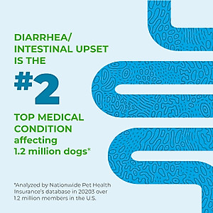 Glandex by Vetnique Daily Probiotics for Dogs with Prebiotics for Optimal Gut Health & Immune Support with Digestive Enzyme & Fiber All Natural Bacon Flavor Soft Chews (60ct Soft Chews)