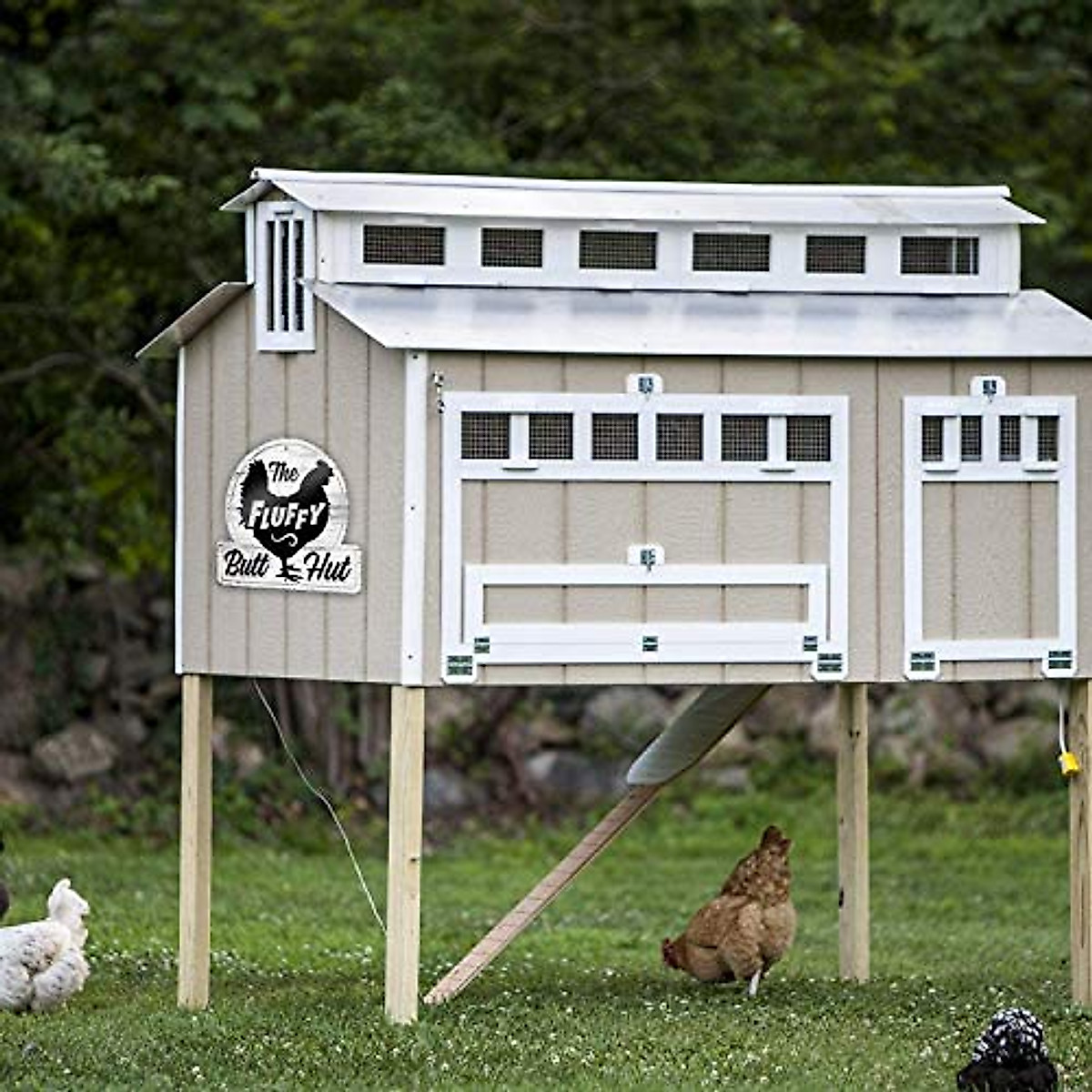 Bigtime Signs Fluffy Butt Hut PVC 12"x11'' - Quirky Chicken Coop Accessories - Gifts for Chicken Enthusiasts - Humorous Signs for Nesting Boxes and Feeders - Fun and Functional Chicken Lover's Decor