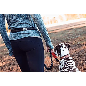 IRON DOGGY Extra Belt (Belt only)