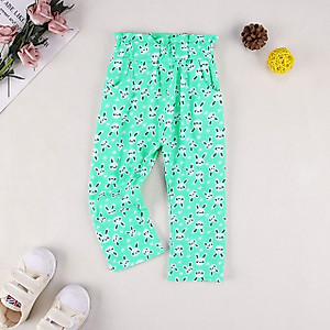 CM C&M WODRO Toddler Kids Baby Girls Easter Outfits Long Sleeve T-Shirt Tops Pants Bunny Clothing Sets (Green, 18-24 Months)