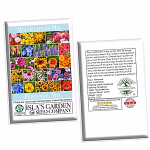 Perennial Wildflower Mix, 600+ Flower Seeds Per Packet, (Isla's Garden Seeds), Blend of 17 Various Perennial Wildflowers, Non GMO & Heirloom Seeds