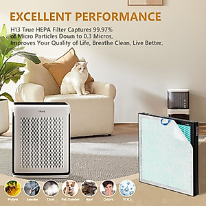 Vital 100S Toxin Absorber Replacement Filter for LEVOIT Vital 100S Smart WiFi Air Puri-fier, True 4-in-1 HEPA and High-Efficiency Activated Carbon Filter, Vital 100S-RF-TX (LRF-V102-GUS), 2Pack, Green
