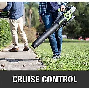 Greenworks PRO 170 MPH 700 CFM 60V Battery Cordless Handheld Leaf Blower (Tool Only), (BL60L02)