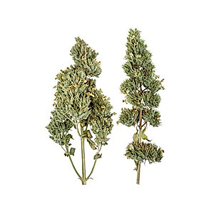 Meowijuana | Dried Premium Catnip Buds | Organic | High Potency Cat Treats | Perfect for Cat Toys | Grown In the USA | Feline and Cat Lover Approved