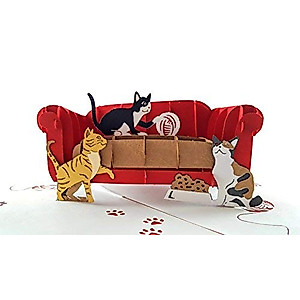 iGifts And Cards Funny Cats 3D Pop Up Greeting Card - Cool Kitten Lovers Card, Thinking of You From Fun Kitty, Thank You Vet Present, Special Happy Birthday Gift, Cute Feline Card For Best Friend