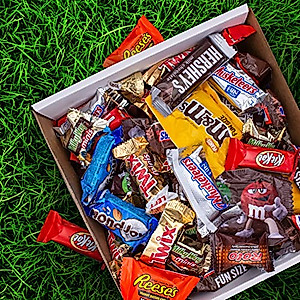 HERSHEY'S Assorted Bulk Chocolate Mix 3 Pounds - KitKat, Almond Joy, Milki Way, Tootsie, 3 Musketeers & More. Candy Variety Pack Fun Size, Individually Wrapped Assorted Milk Chocolate Bars. Candy Gift Box for Easter, Birthday Party, College Students
