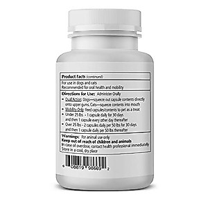 WorksSoWell 1TDC Dual Action Natural Support – 60 Twist Off Soft Gels | Delivers 4 Health Benefits for Dogs & Cats | Supports Oral, Hip & Joint Health, Muscle & Stamina Recovery, Skin & Coat Health