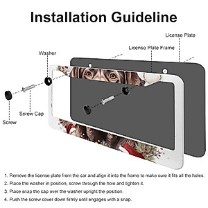 License Plate Frame Chocolate Lab Dog Watercolour Santa Hat License Plate Frames Cover Holders 2 Pieces Merry Christmas Cute Animals Aluminum Metal License Plate Frames for Men/Women 6.3" X 12.3"