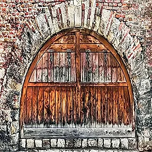 NARBOR Soft Fleece Throw Blanket - Fluffy Microfiber Solid Blankets for Bed and Couch Double/Single Size - 59X79Inch Arched Wooden Door Printed Flannel Blanket for Bed, Couch and Sofa