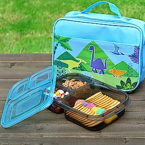 Youngever 7 Sets Bento Lunch Box, Meal Prep Containers, Reusable 3 Compartment Plastic Divided Food Storage Container Boxes