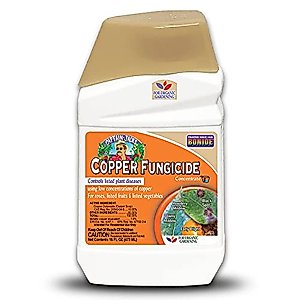 Bonide Captain Jack's Copper Fungicide, 16 oz Concentrated Plant Disease Control Solution for Organic Gardening