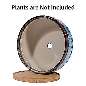 EPFamily 8 Inch Succulent Planter Pot with Drainag and Saucer Shallow Bonsai Pot for Indoor Plants Blue