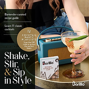 Barillio Bartender Kit - Stainless-Steel Cocktail Shaker Set with Bamboo Stand - Mixology Bar Tools w/Shaker, Drink Mixer Spoon & Muddler for Cocktails - Home Bar Accessories - 10-Pc Bar Set - Silver