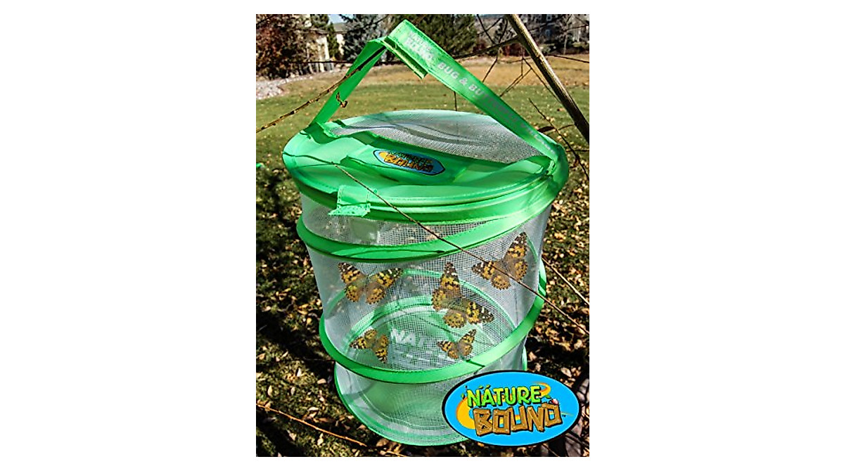 Nature Bound Butterfly Habitat Kit - Grow Live Butterflies