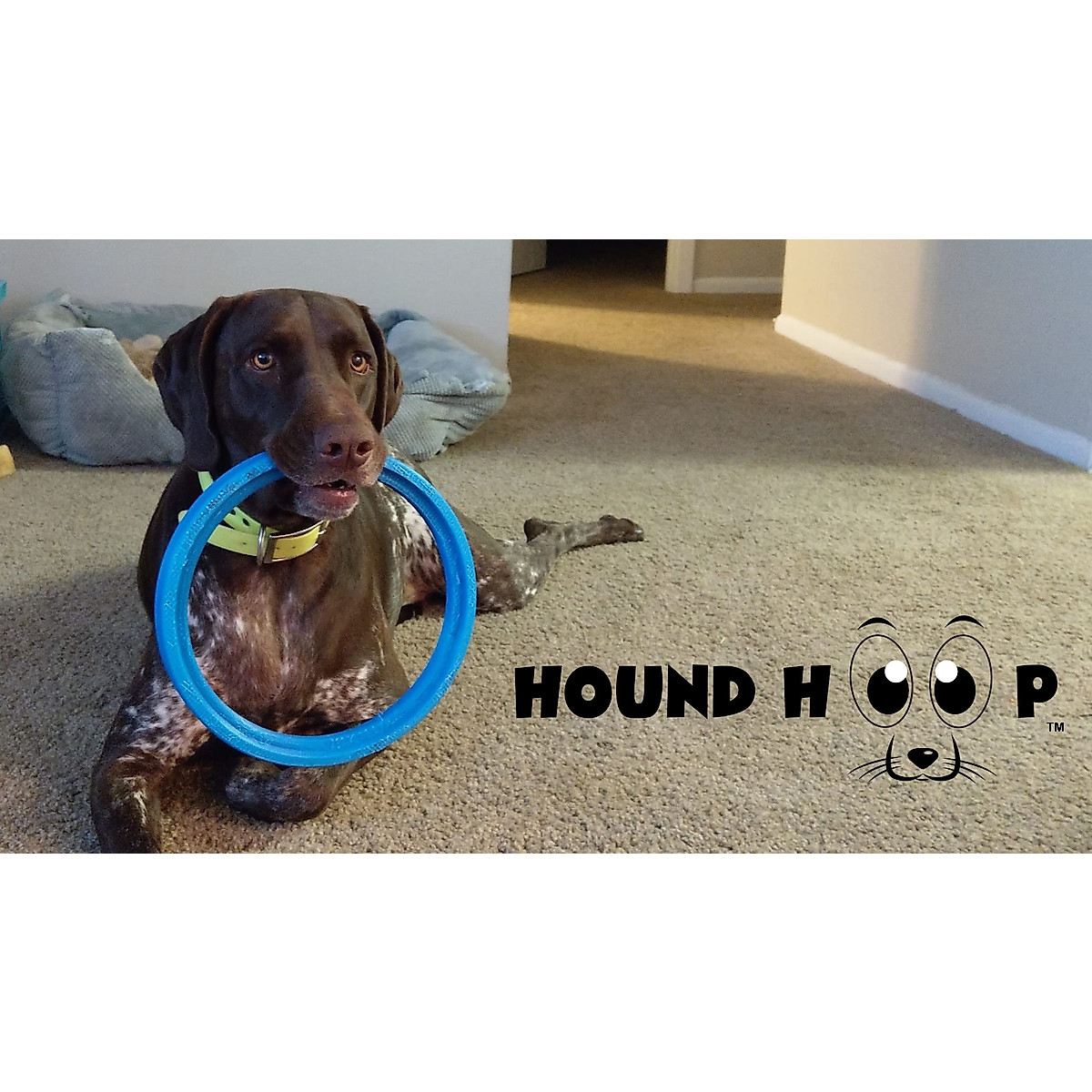 Hound Hoop - Professional Dog Fetch Toy for Medium & Large Breeds - Rolling Fetching Tire & Chase Ring for Outdoor Training & Water Retrieval Play - Helps Improve Agility, Balance, Speed - 10x1.5…