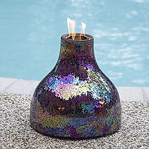 EchoFlame Gel-Fuel for Portable Indoor/Outdoor Tabletop Fireplaces, Gel Torches and Gel Burners (Pack of 24)