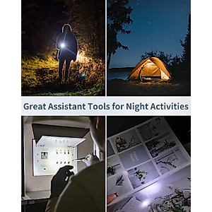 Uniclife 10 Pack Mini LED Keychain Flashlight 12 Lumen Portable Ultra Bright Light Battery Powered Flat Black Torch for EDC Outdoor Camping Hiking and Emergency Lighting (Batteries Included)