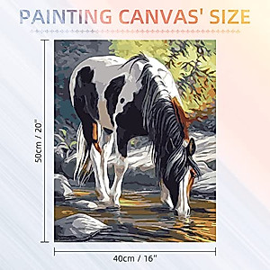 Rasugarlary Paint by Numbers for Adults Beginner, DIY Horse Paint by Numbers Kits on Canvas, Oil Painting Paintworks Acrylic Painting by Numbers Kits with for Home Decor Gift 15.7x19.6