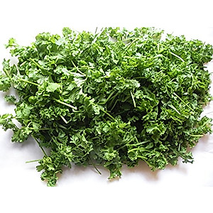 Curled Cress Seeds for Planting, aka "Garden Cress", 500+ Heirloom Seeds Per Packet, (Isla's Garden Seeds), Non GMO Seeds, Botanical Name: Lepidium sativum, Great Home Herb Garden Gift