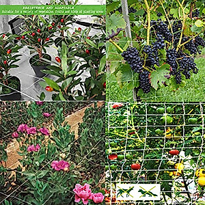 BaseGoal All-Weather Trellis Netting Mesh Plant Garden Vine Growing Flexible String Net (3.5" Mesh ployester, 5' Wx 15'L)