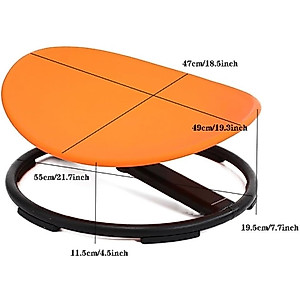 Autism Kids Swivel Chair, Sensory Toys Chair for Kids, Spinning Chair Wobble Chair Balance Toys, Balance Physical Therapy Equipment, Training Body Coordination, Kid Spinning Carousel for Kids 3-12 ( C