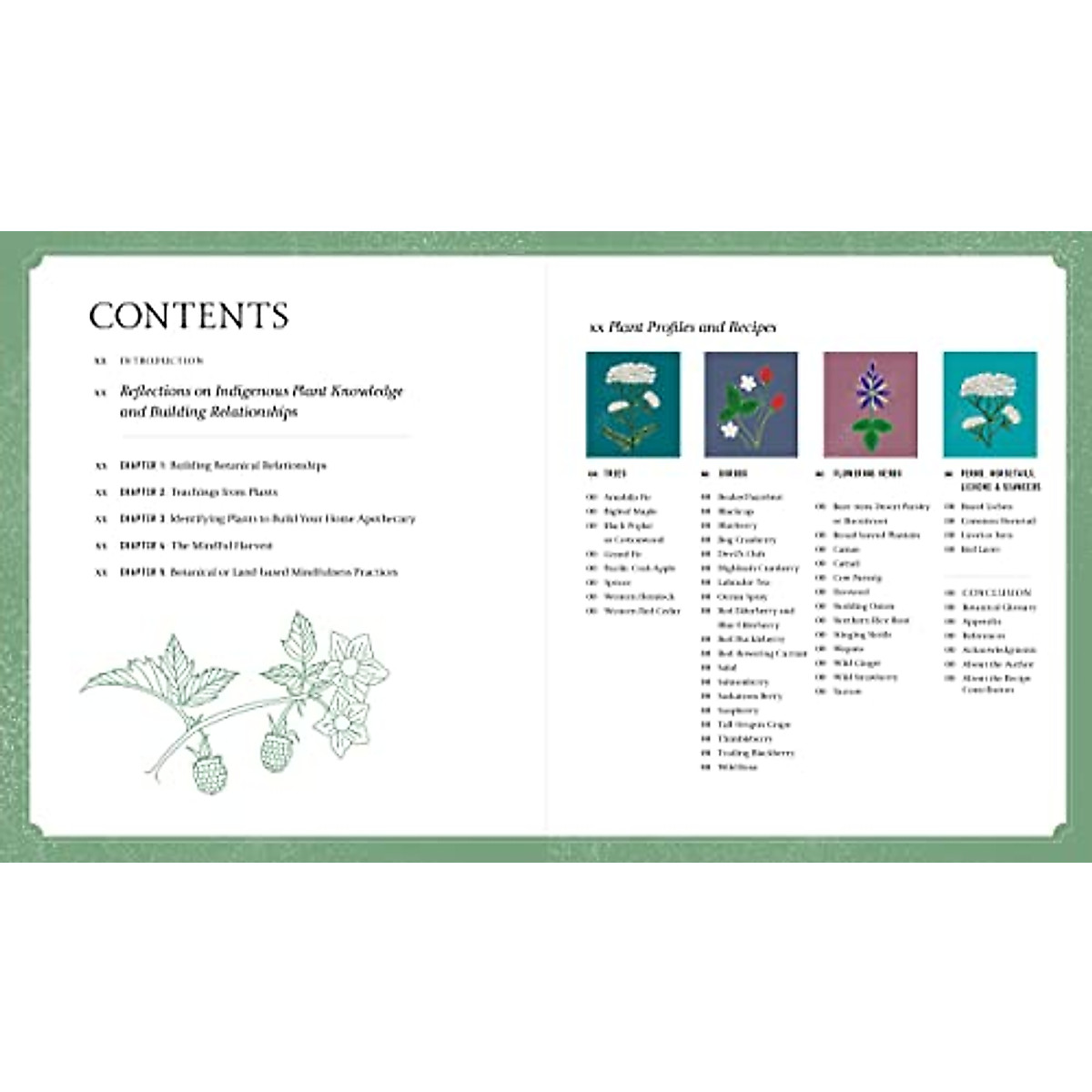 Held by the Land: A Guide to Indigenous Plants for Wellness